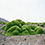 The Oldest Living Things On Earth Captured On Camera Before They ...
