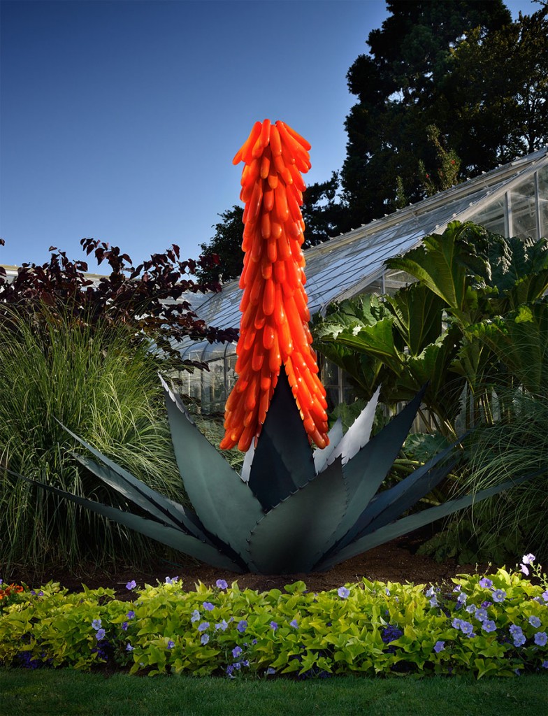 Artist Creates Gigantic Glass Flowers To Draw Our Attention To Their ...