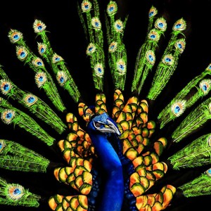 22 Masterful Body Paintings That Disguise Humans As Animals | DeMilked