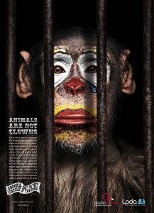 30 Shocking Animal Ad Campaigns That Will Make You Rethink Your ...
