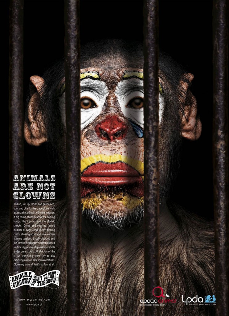30 Shocking Animal Ad Campaigns That Will Make You Rethink Your ...