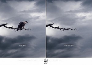 30 Shocking Animal Ad Campaigns That Will Make You Rethink Your ...