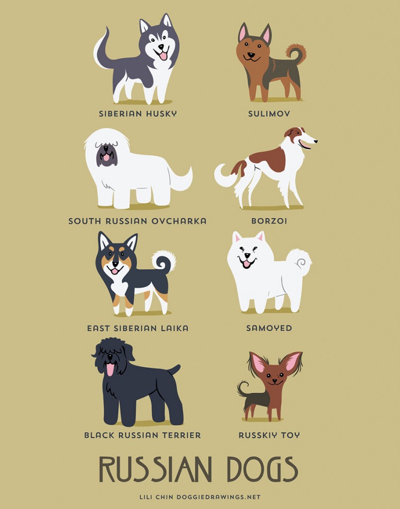 The Origins Of 200 Dog Breeds Explained In Adorable Posters | DeMilked