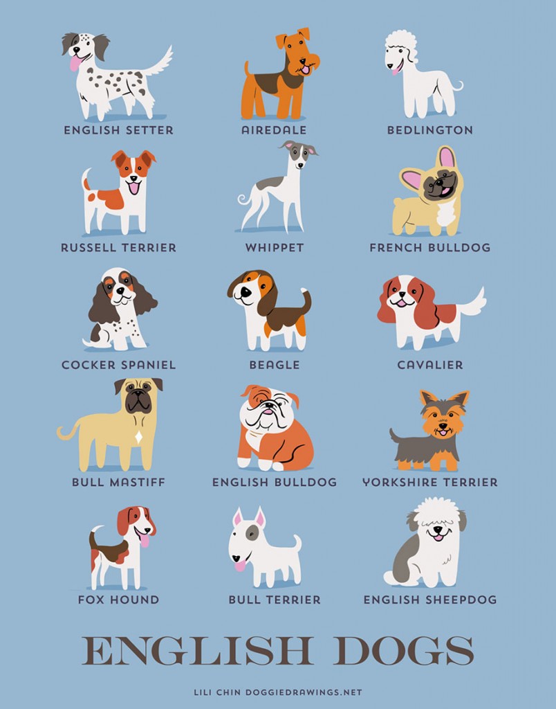 The Origins Of 200 Dog Breeds Explained In Adorable Posters | DeMilked