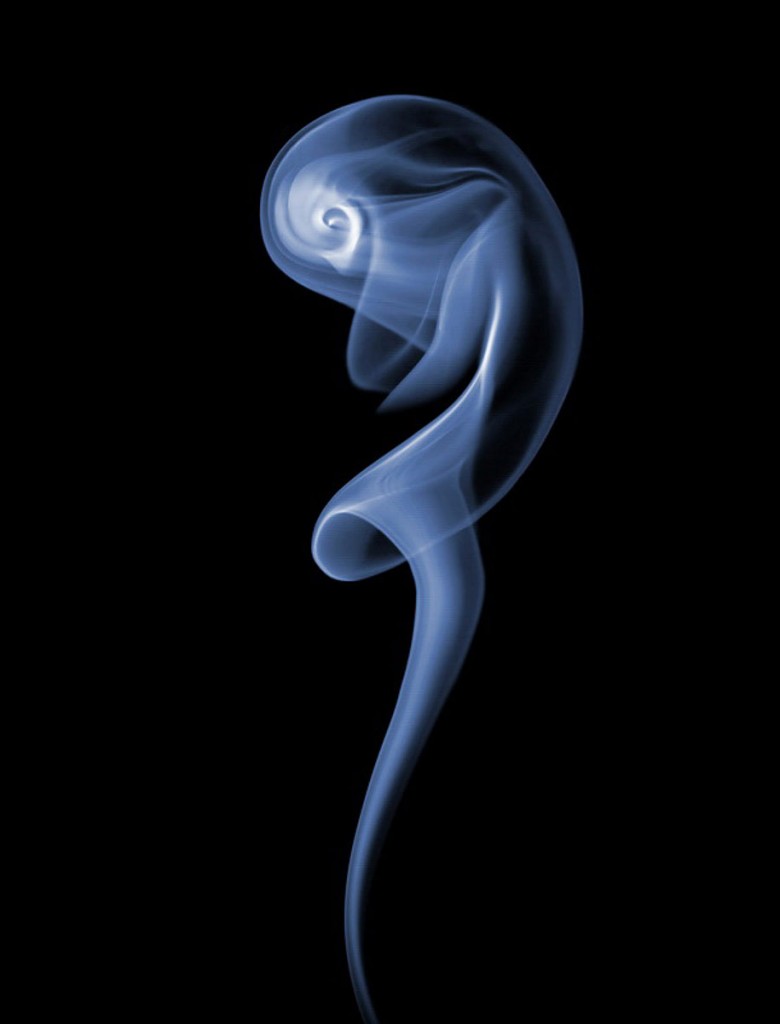 It Took This Photographer 100,000 Pics And 3 Months To Get These ...