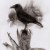 Artist Paints With Fire, Engraving Lines In Candle Soot | DeMilked