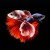 Hypnotizing Portraits Of Siamese Fighting Fish By Visarute ...