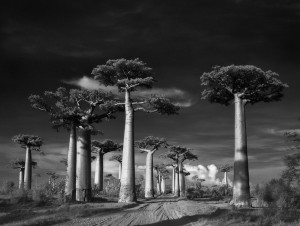 Photographer Spends 14 Years Of Her Life Documenting World's Oldest ...