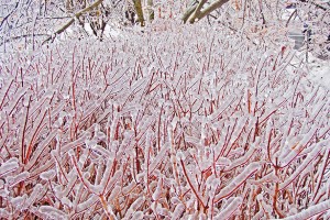 23 Breathtaking Ice and Snow Formations | DeMilked