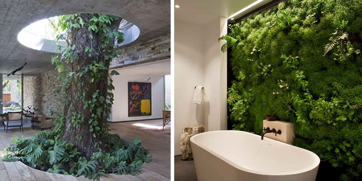 26 Green Ideas That Bring Nature Into Your Home | DeMilked