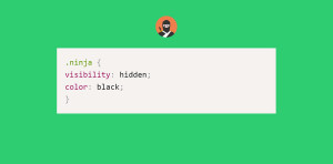 CSS Puns Are The Highest Form Of Web Designer Humor | DeMilked