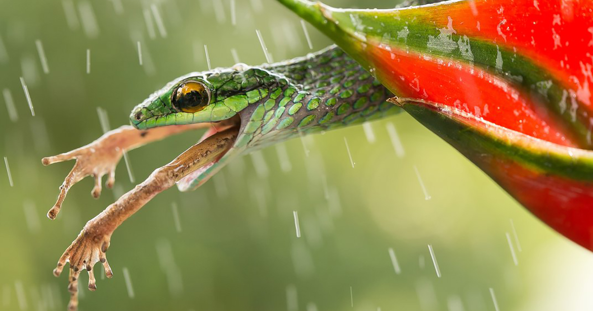 25 Finalists From 12th Annual Smithsonian Photo Competition | DeMilked