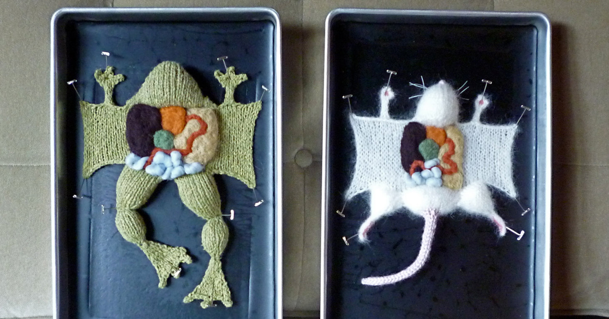 Learn Anatomy From Knitted Creatures Without Harming Anything | DeMilked