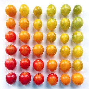 Photographer Arranges Fruits And Veggies By Color Gradients To Please ...
