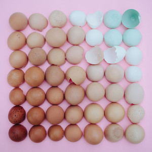 Photographer Arranges Everyday Objects In Color Gradients That Will ...