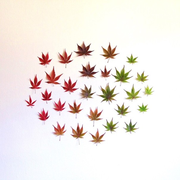 Photographer Arranges Everyday Objects In Color Gradients That Will ...