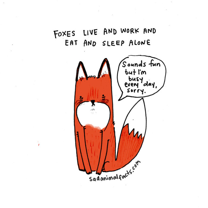 Sad Animals Facts That'll Make You Slightly Depressed | DeMilked