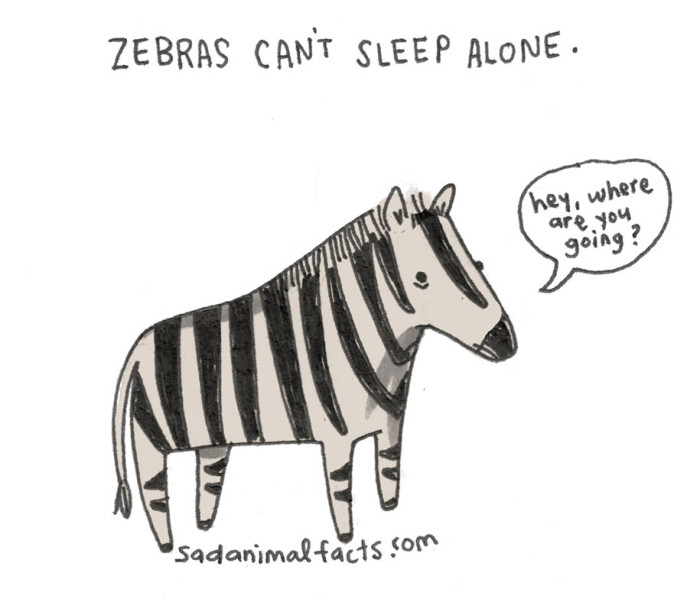 Sad Animals Facts That'll Make You Slightly Depressed | DeMilked