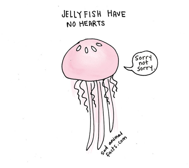 Sad Animals Facts That'll Make You Slightly Depressed | DeMilked