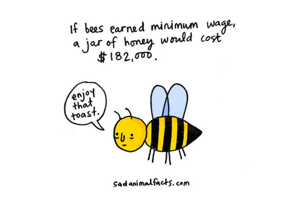 Sad Animals Facts That'll Make You Slightly Depressed | DeMilked