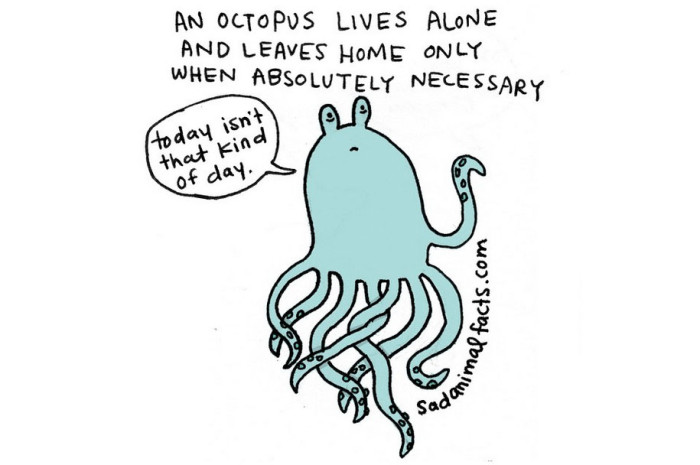 Sad Animals Facts That'll Make You Slightly Depressed | DeMilked