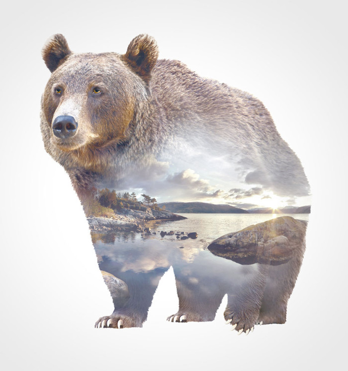 Double-Exposure Animal Portraits By WhatWeDo | DeMilked