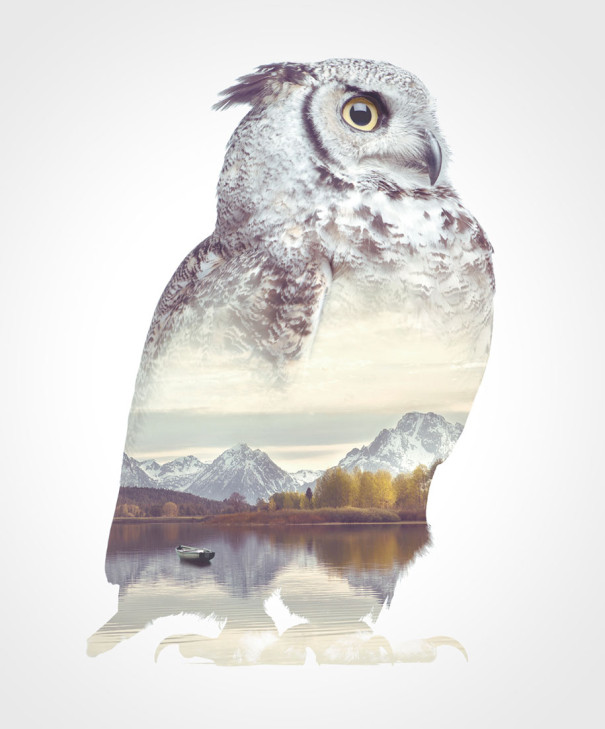 Double-Exposure Animal Portraits By WhatWeDo | DeMilked