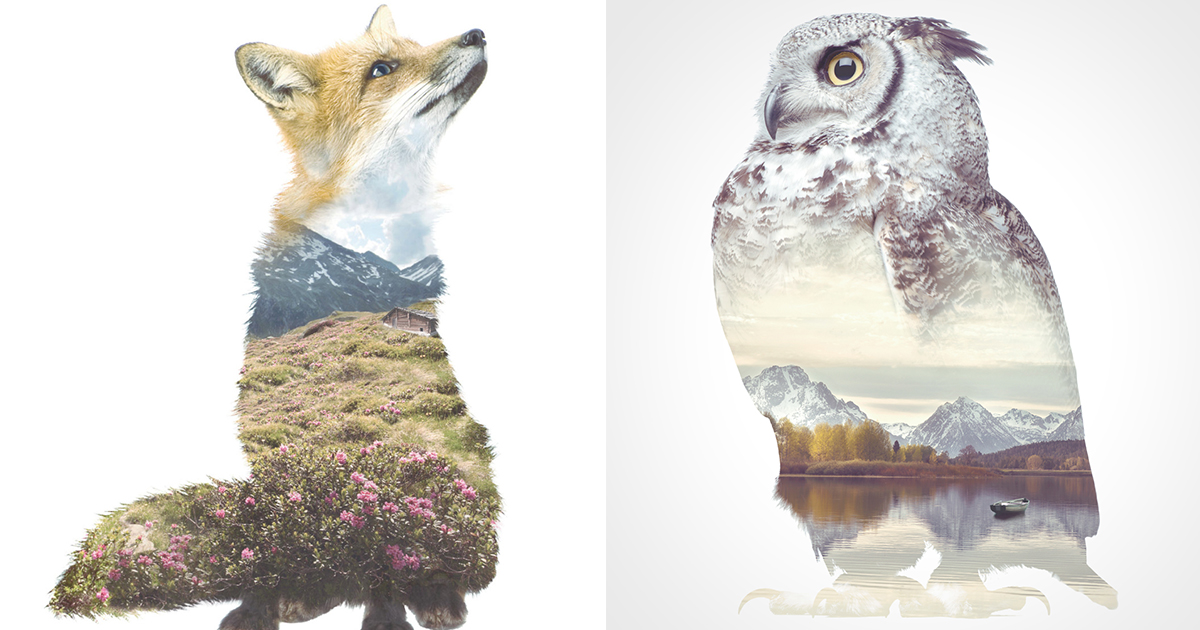 Double-Exposure Animal Portraits By WhatWeDo | DeMilked