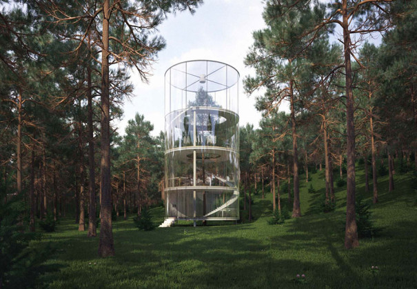 12 Architects Who Build Houses Around Trees Instead Of Cutting Them ...