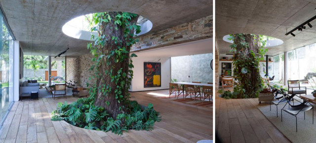 12 Architects Who Build Houses Around Trees Instead Of Cutting Them ...