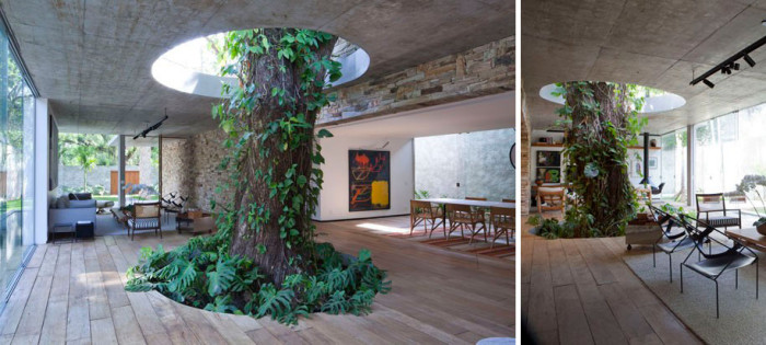 12 Architects Who Build Houses Around Trees Instead Of Cutting Them ...