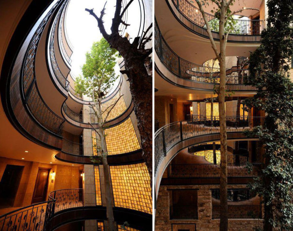12 Architects Who Build Houses Around Trees Instead Of Cutting Them ...