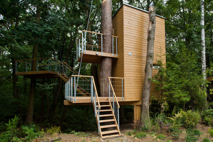 12 Architects Who Build Houses Around Trees Instead Of Cutting Them ...