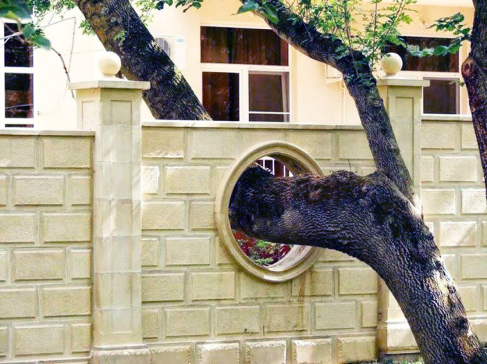 12 Architects Who Build Houses Around Trees Instead Of Cutting Them ...