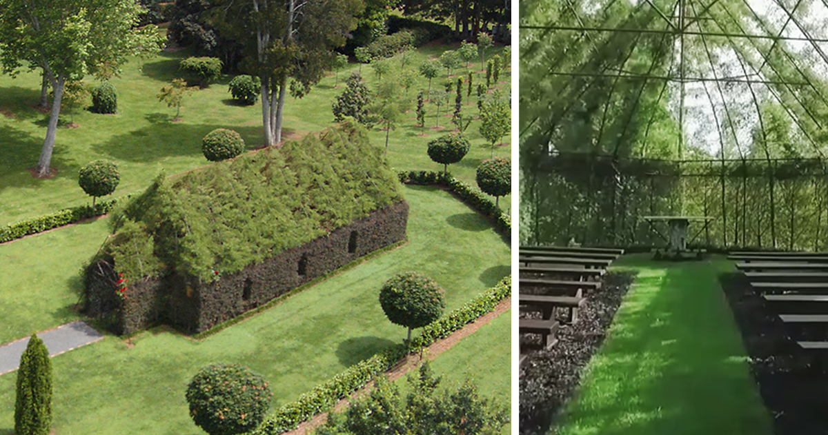 Guy Spent 4 Years Growing A Living Tree Church | DeMilked