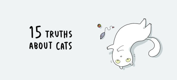 15 Illustrated Truths About Cats That Every Owner Will Understand ...