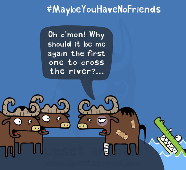 16 Upset Animals Expressing Their Problems | DeMilked