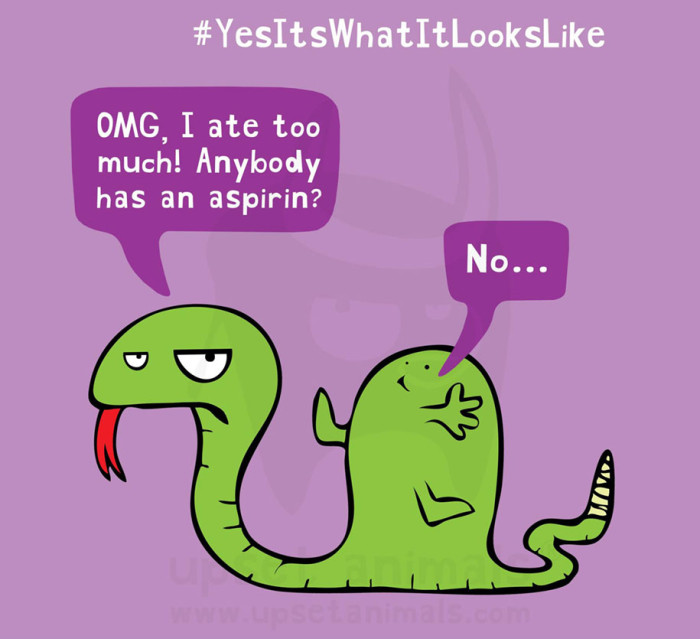 16 Upset Animals Expressing Their Problems | DeMilked