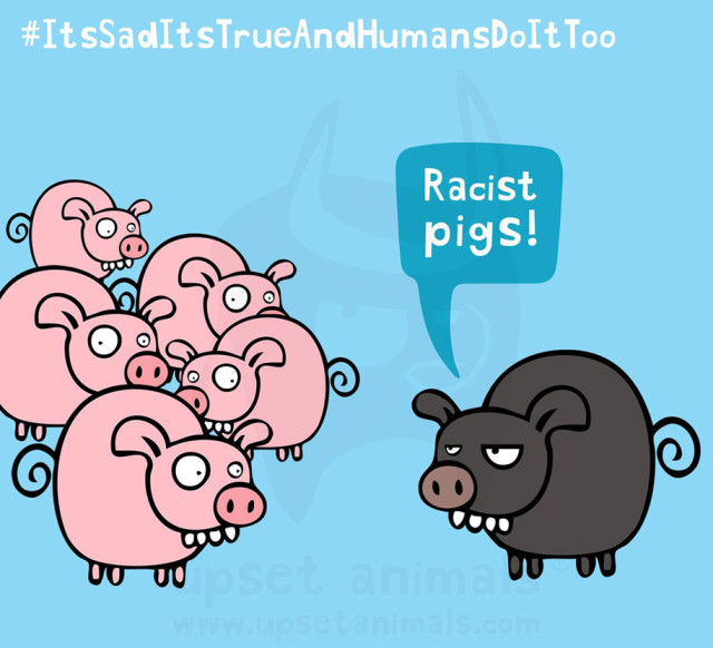 16 Upset Animals Expressing Their Problems | DeMilked
