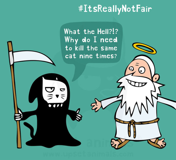 16 Upset Animals Expressing Their Problems | DeMilked