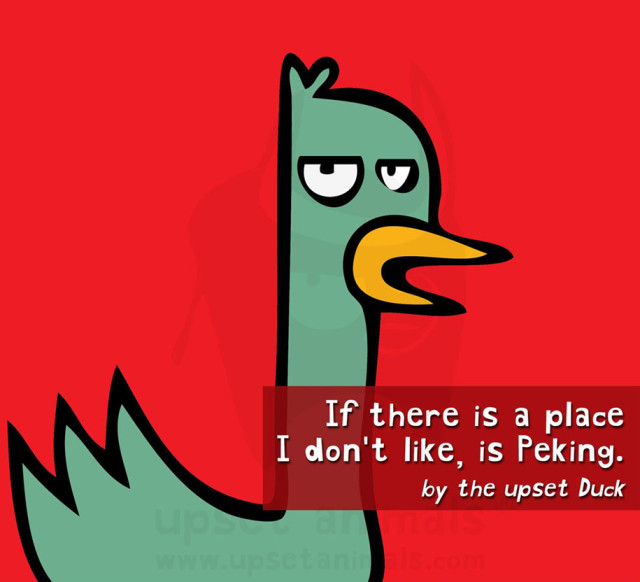 16 Upset Animals Expressing Their Problems | DeMilked