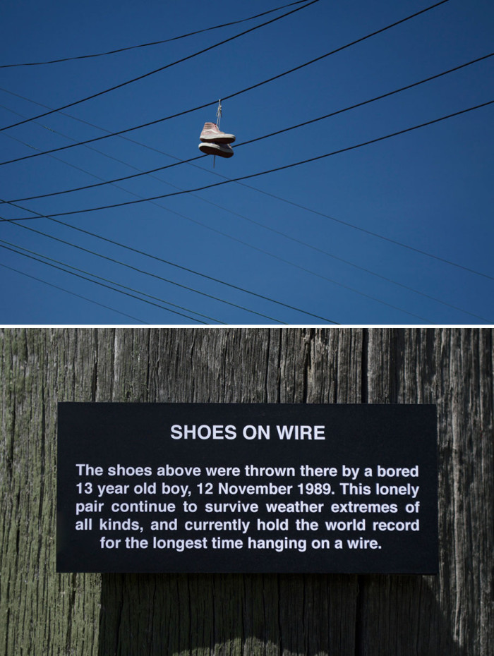 Artist Leaves Funny Signs On Streets For People To Find | DeMilked