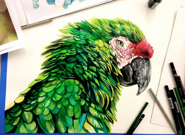 Wild Animal Spirit Hand Drawn Illustrations By Katy Lipscomb | DeMilked