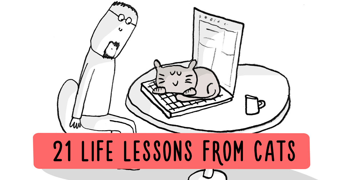 21 Life Lessons We Should Learn From Cats | DeMilked