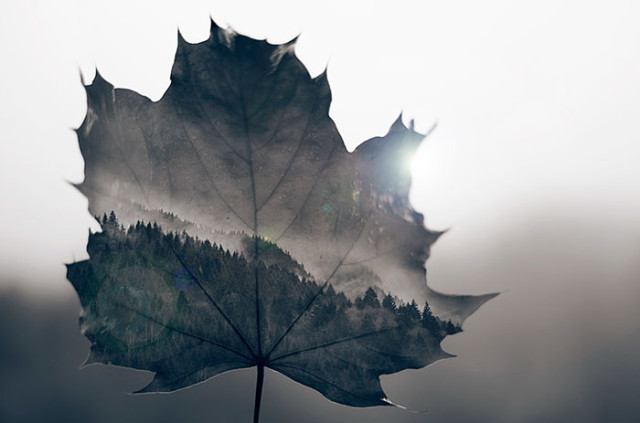 15 Multiple Exposure Photos That'll Inspire You To Create Art | DeMilked