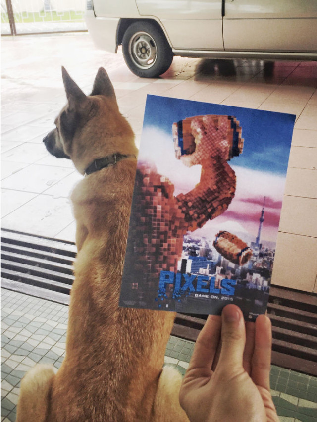 Artist Completes Famous Movie Posters With Real-Life Dogs | DeMilked