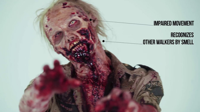 100 Years Of Zombie Evolution Show The Changing Face Of The Living Dead ...
