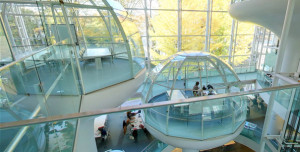 Library In Tokyo Lets You Study In A “Floating” Glass Dome | DeMilked