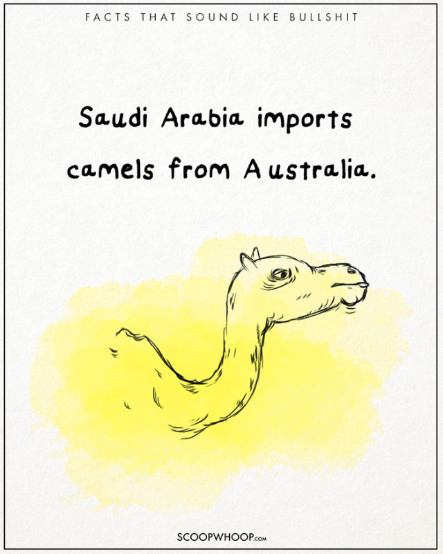 22 Absurd Facts That Are Actually Completely True | DeMilked