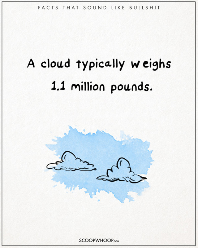 22 Absurd Facts That Are Actually Completely True | DeMilked